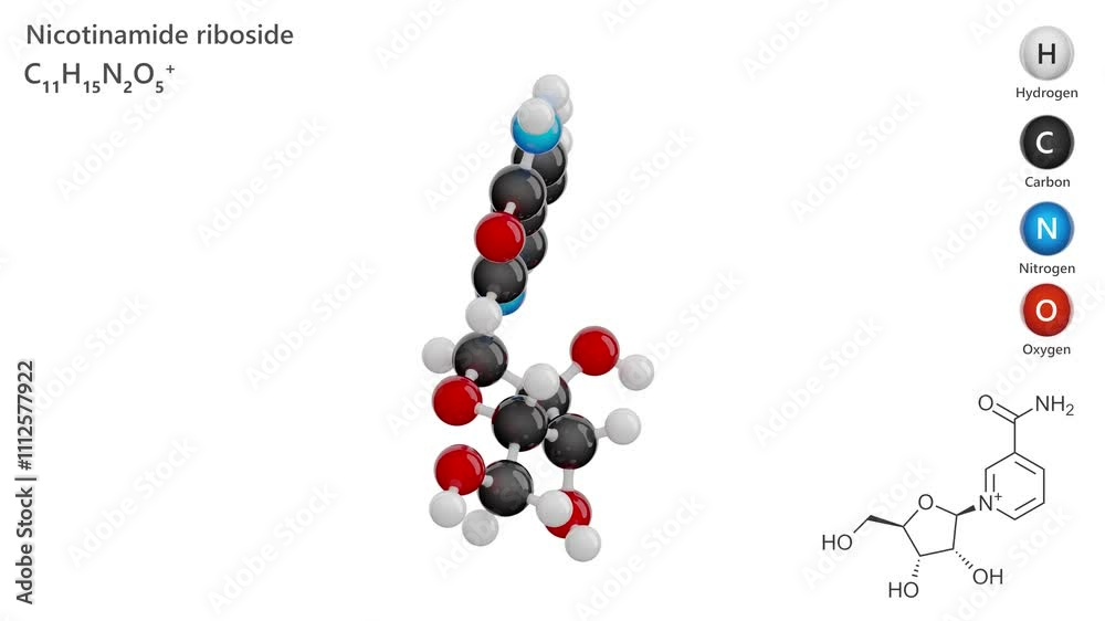 Nicotinamide Riboside. Vitamin B3. Animated 3D model of a molecule ...