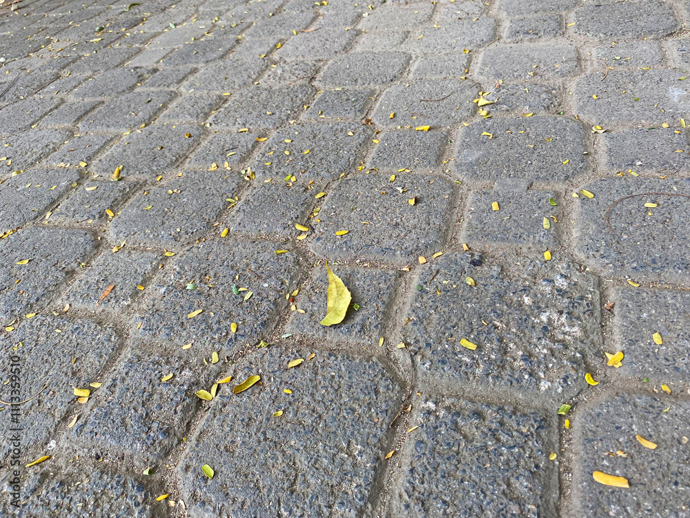 geometric pavement of cemented tiles, featuring symmetrical patterns ...