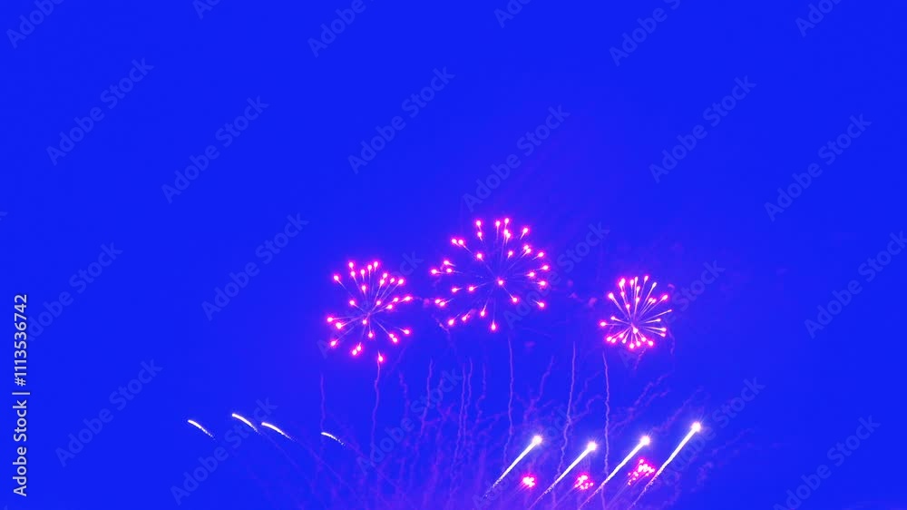 Abstract Real Firework on blue screen chroma key background, 4th of ...