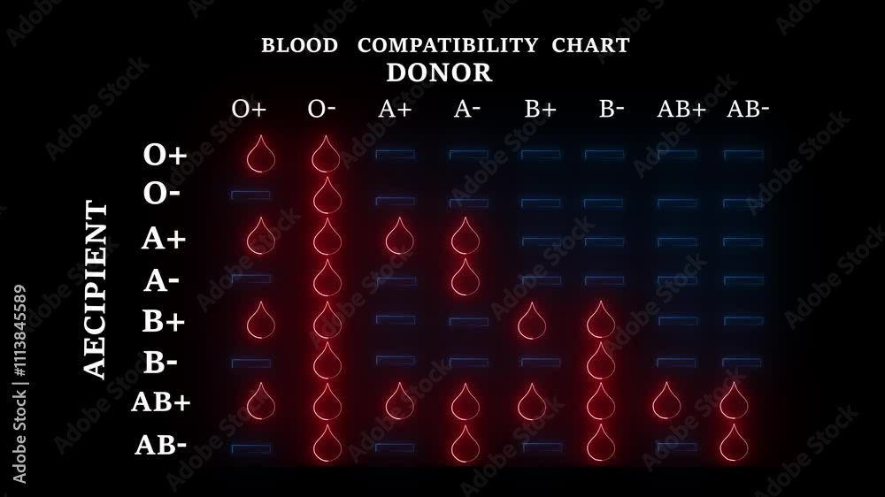 Red blood grup doner & aecipient 4K blood chart animation black ...