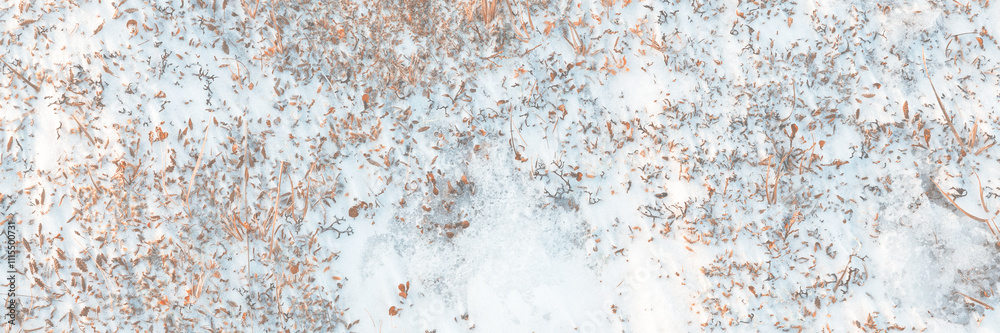 The frozen winter tundra in the Arctic. Moss, lichen and small plants ...