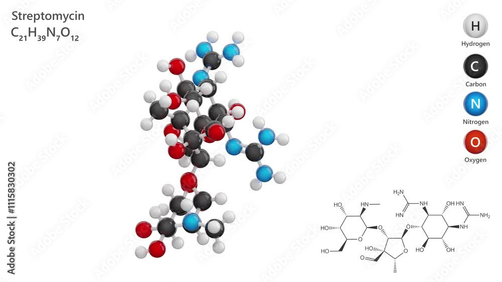 Streptomycin. Antibiotic medication. Animated 3D model of a molecule ...