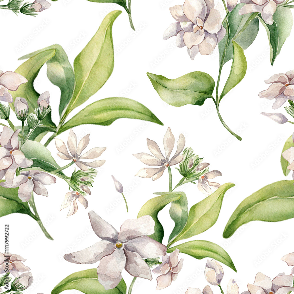 Watercolor seamless pattern of jasmine bunch, buds, leaves isolated ...
