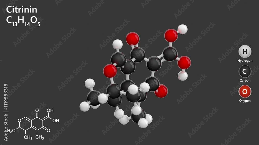Citrinin. Antibiotic. Animated 3D model of a molecule. Molecular ...