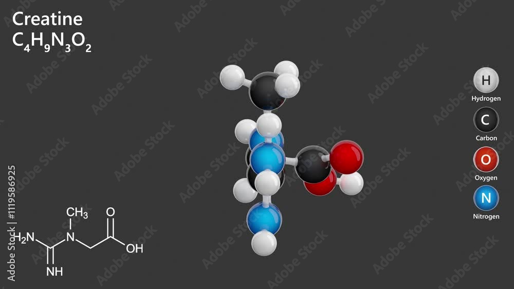 Creatine. Nitrogenous organic acid. Animated 3D model of a molecule ...