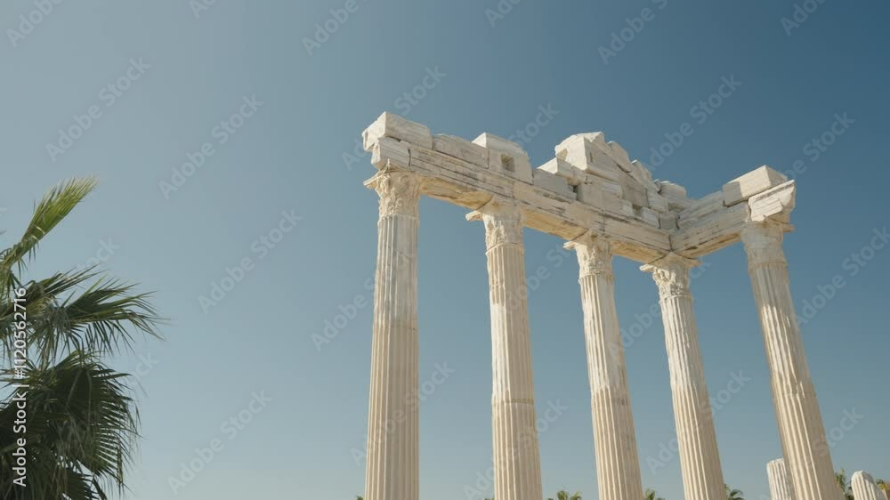 A view of ancient white columns under a clear blue sky, with a palm ...