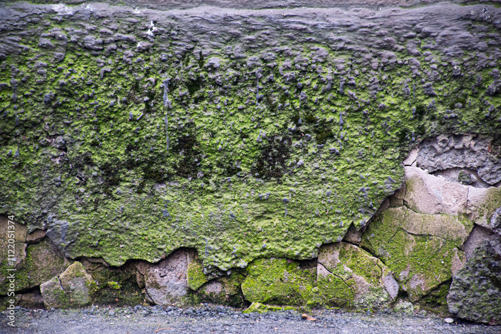 Old concrete mossy wall with green texture Close-up of a Textured ...