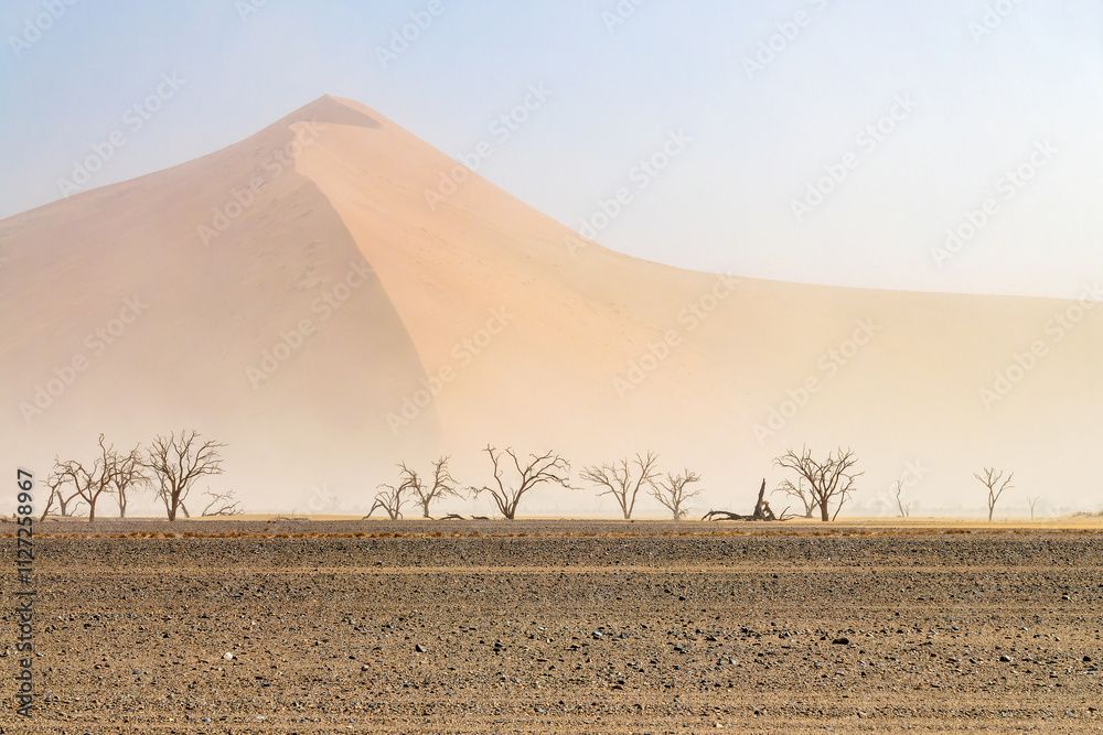 Dead trees and sand dune in the dust, sand storm in Sossusvlei, Namib ...