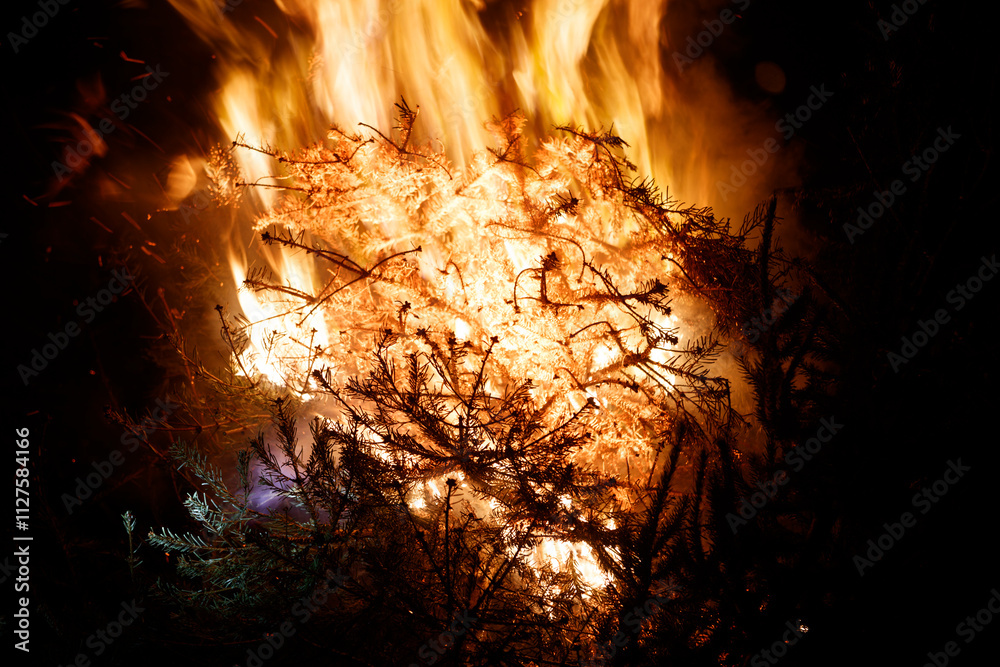 Burning evergreen branches blaze in a dark night. Flames and smoke fill ...