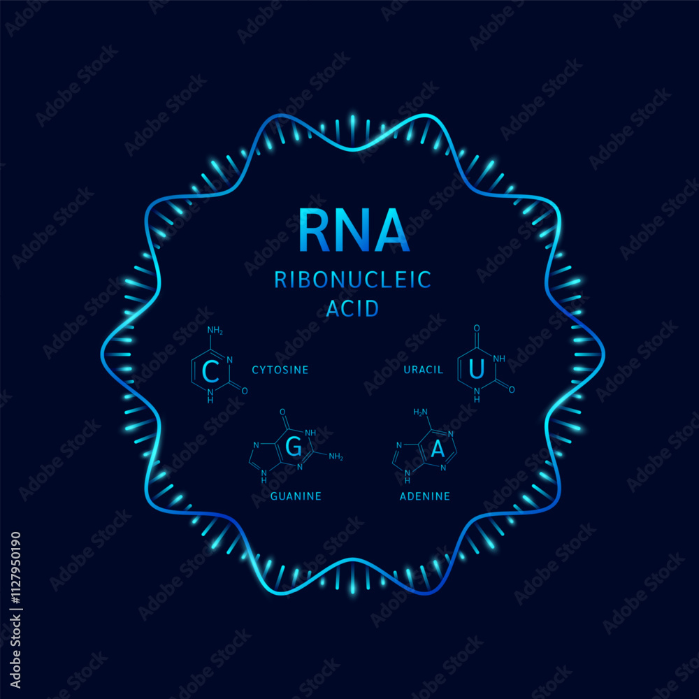 RNA or Ribonucleic acid gene double helix and Structure Adenine Uracil ...