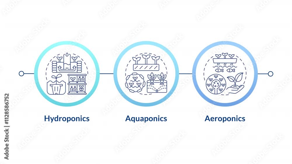 Vertical farming infographic circles animation. Innovative soil-free ...