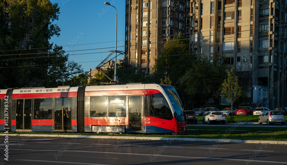 Poster trams public transportation in Belgrade city, Serbia. – Wall Art ...