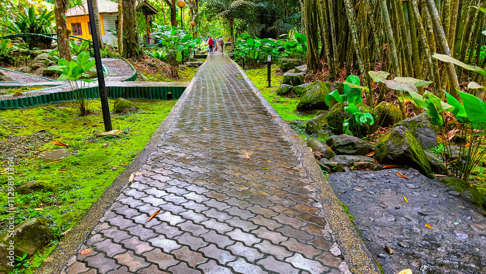 A scenic paved walkway surrounded by lush greenery and rocks, leading ...