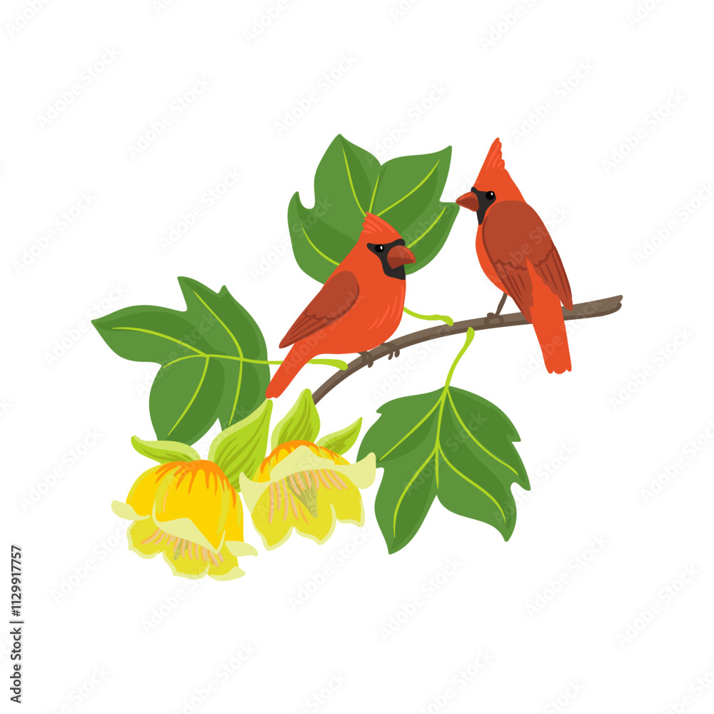 vector drawing branch of tulip tree with green leaves and flowers and ...