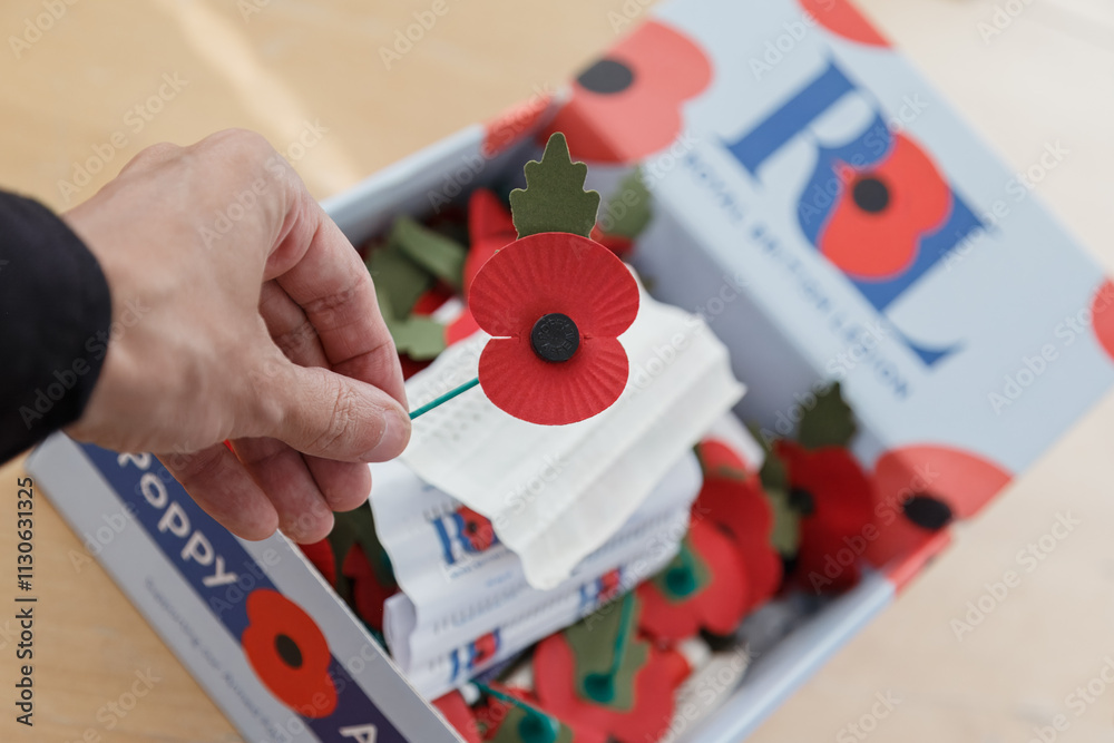 The Red Poppy a symbol of Remembrance and hope for a peaceful future in ...