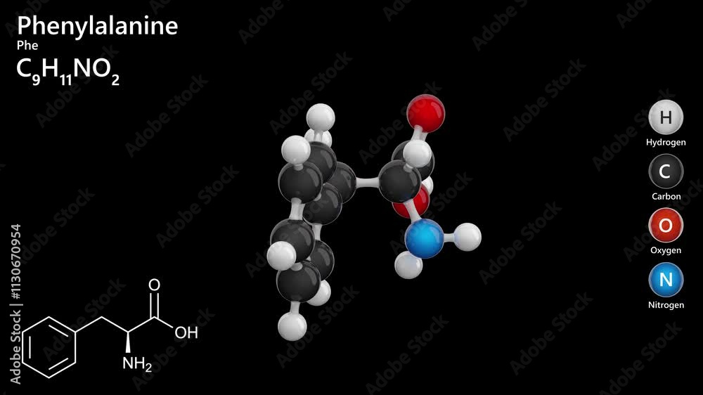 Phenylalanine (Phe or F). Essential amino acid. Animated 3D model of a ...