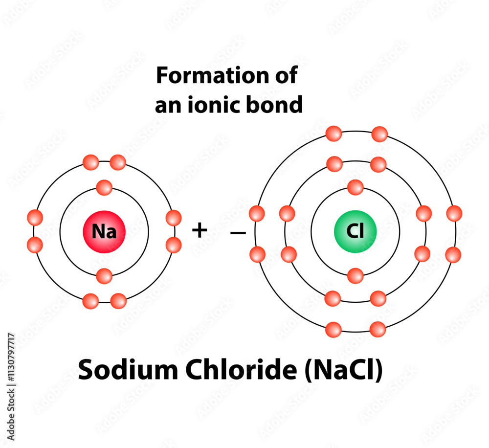 Formation of an ionic bond. sodium chloride (NaCl) chemistry Organic compound. black line vector ...