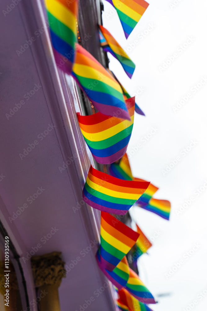 Pride flags are representing LGBT community and intersexual diversity ...