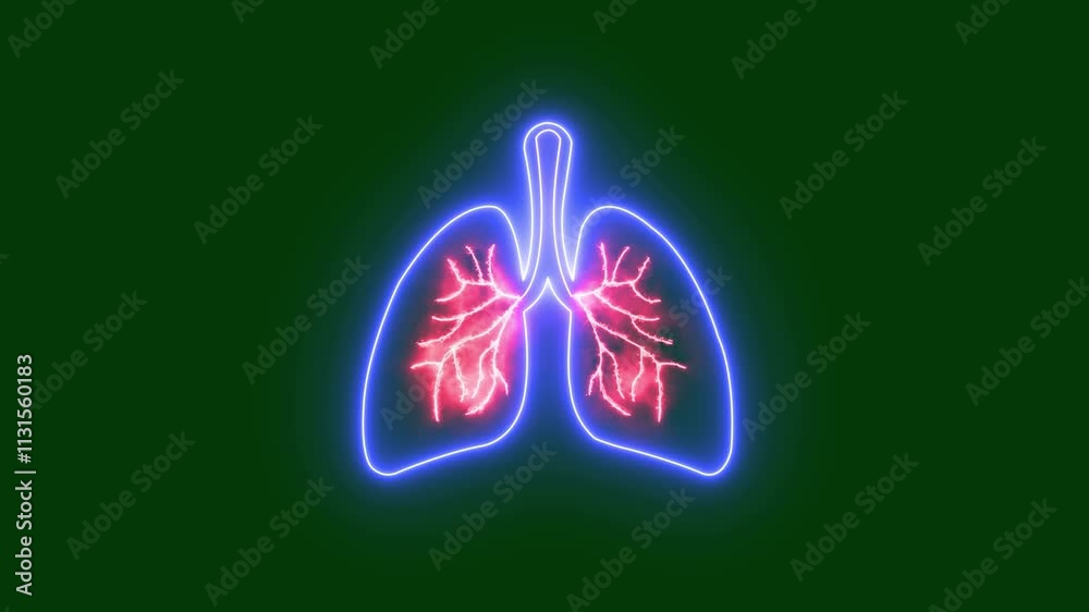 Lung and kidney icon. 4K video graphic kidney animation. neon glowing ...