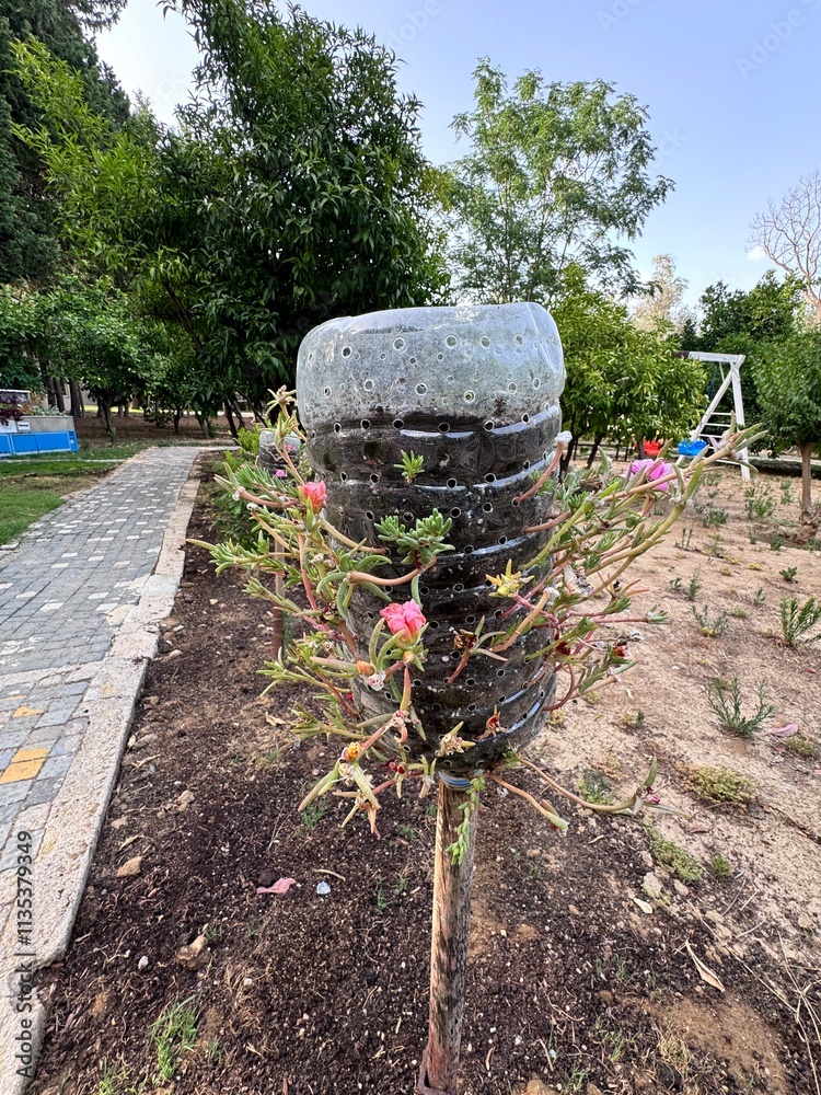 Plastic bottles water DIY for planting flower plant in the garden and ...