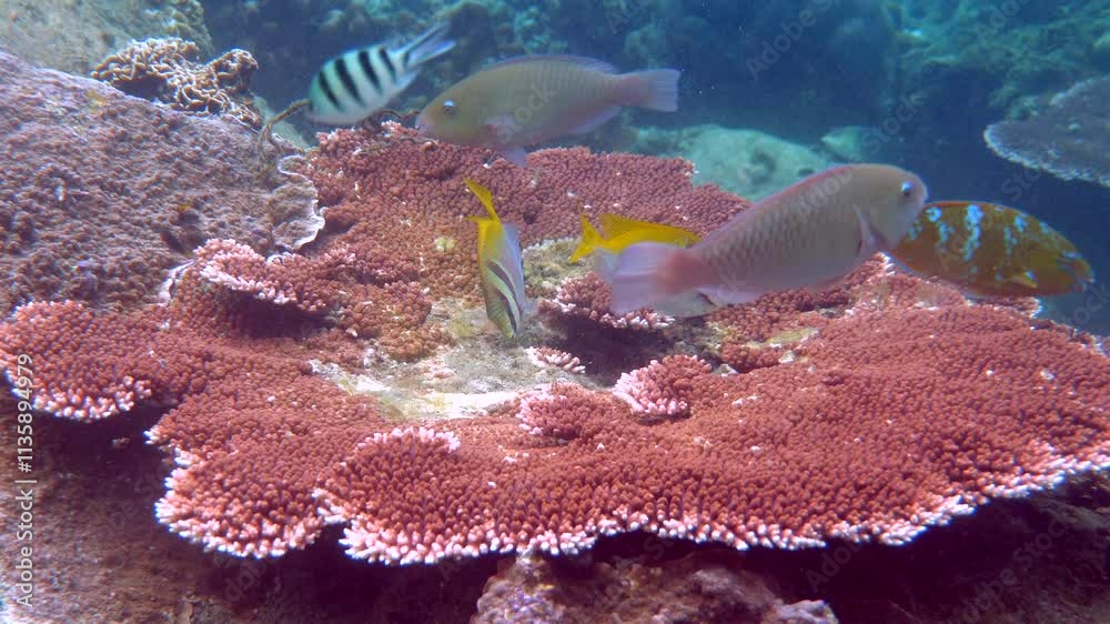 Immerse yourself in an exciting adventure to discover the diverse ...