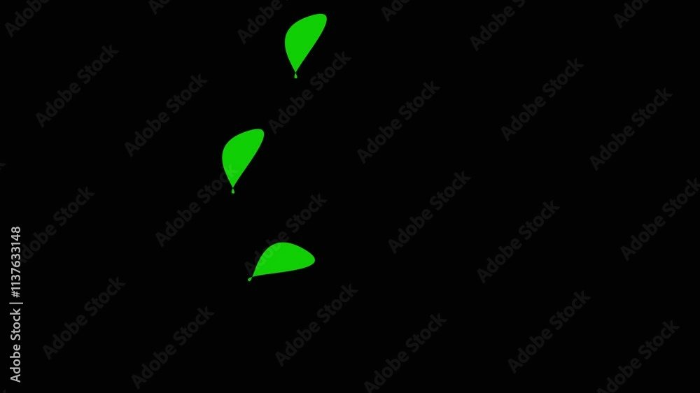 Cherry blossom petals falling animation on chroma key backdrop, pink ...