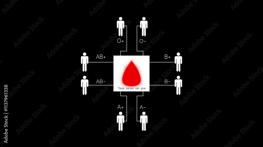 Blood donation same group test. 4k animation of blood donation with all ...