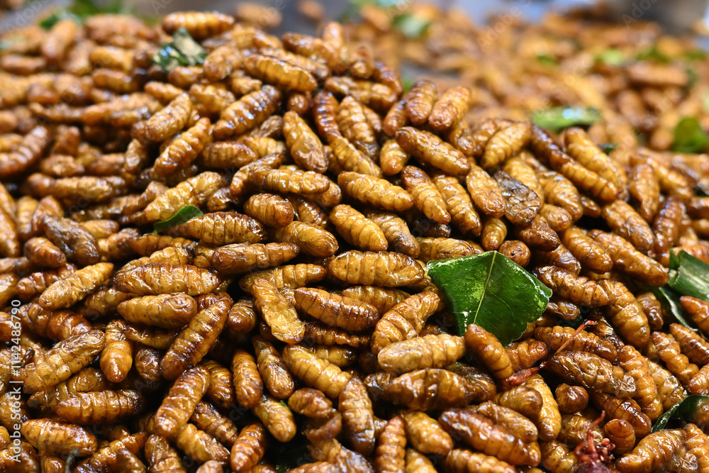 Fried maggots as famous street food in Cambodia. Stock Photo | Adobe Stock
