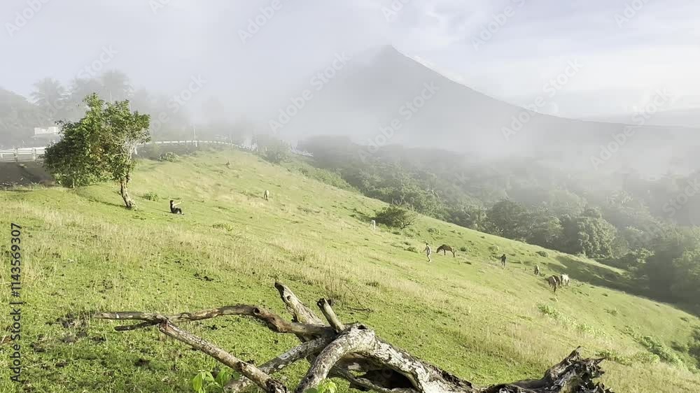 Mayon Volcano video clips with a beautiful sky and clouds with horse in ...
