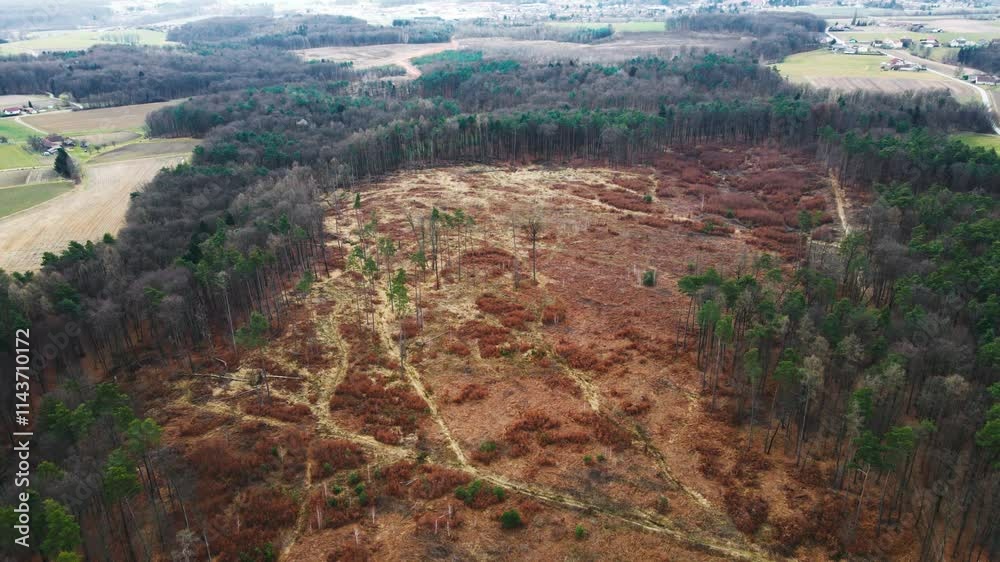 Aerial 4K drone footage of deforestation: large areas of forest being ...