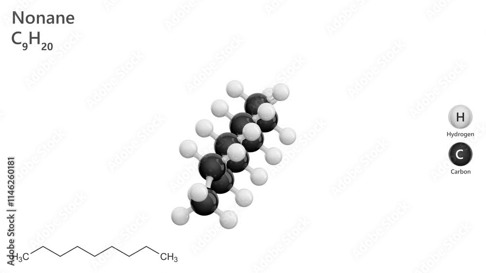 Nonane. Linear Alkane. Animated 3D model of a molecule. Molecular ...