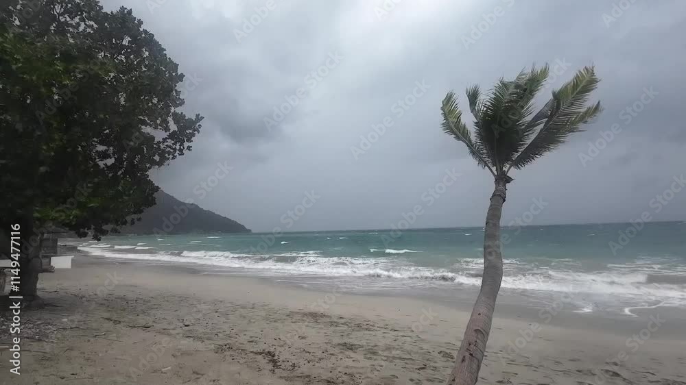 Hurricane wind on the beach. Typhoon approaching. A strong wind raises ...