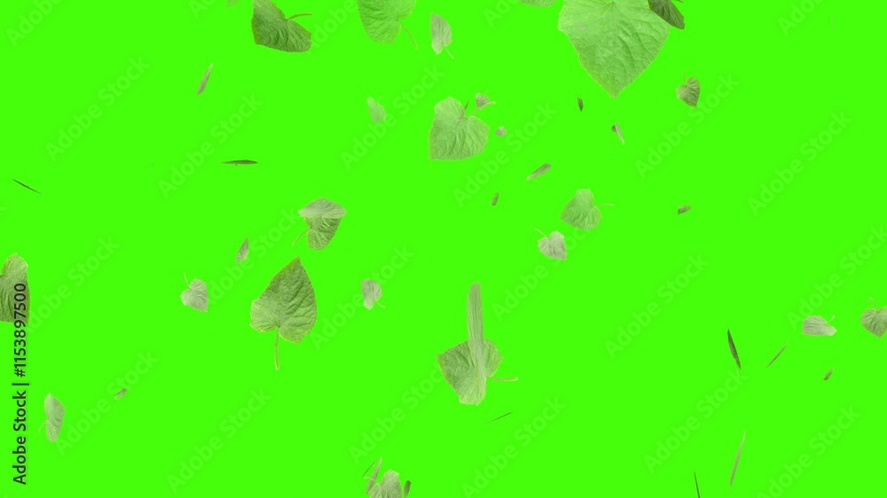 Leaves falling animation on green screen 4k. Leaf falling. Chroma key ...