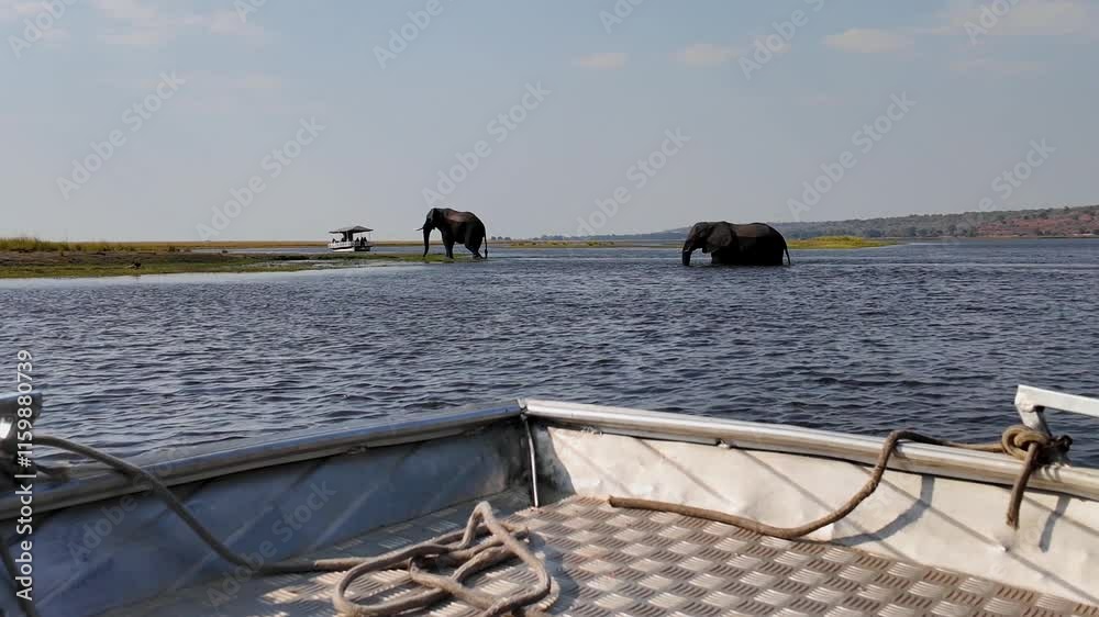 Safari Tour At Okavango Delta National Park Botswana. Wildness Safari ...