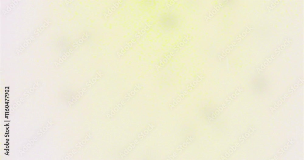 4K Film Burns Light Leaks Film Burn Overlay Red light leak effect ...