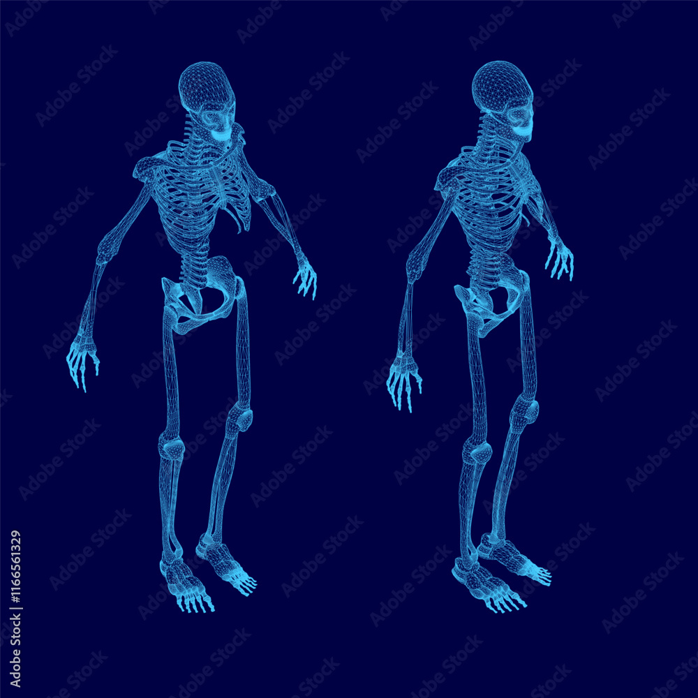 Two skeletons are shown in blue, one of which is wearing a scarf. The ...