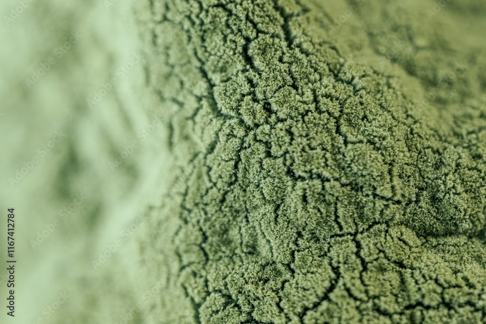 Poster Detailed macro image of green mold spreading across a surface ...