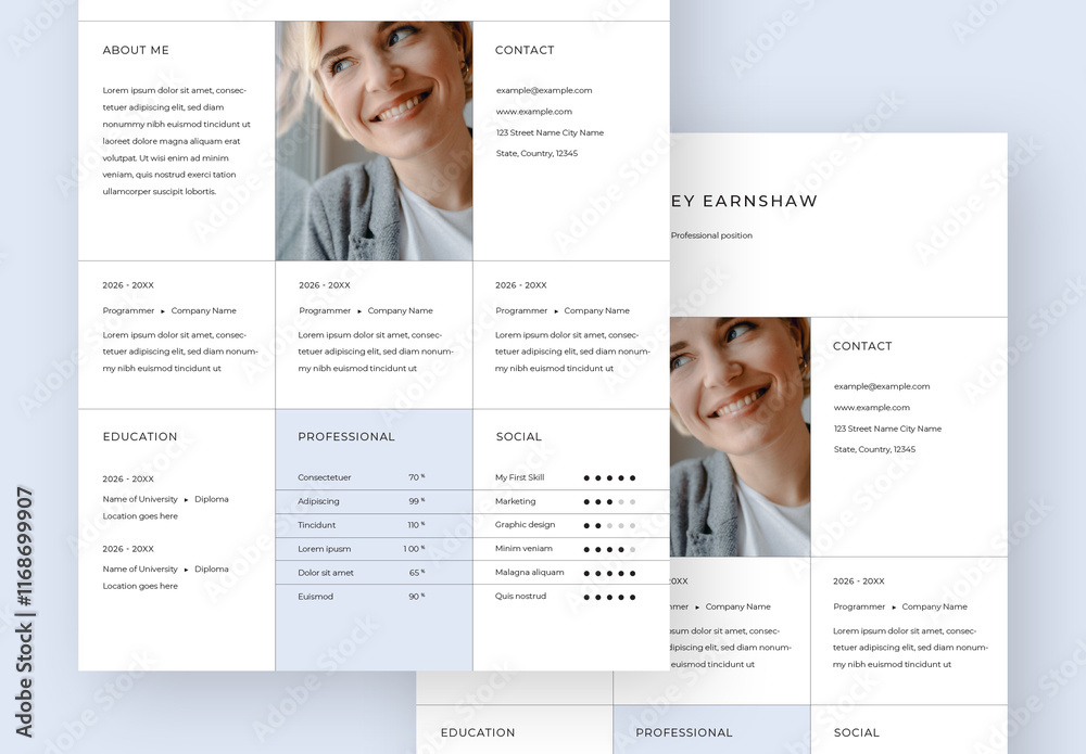 Resume Layout Divided In Various Sections Stock Template | Adobe Stock