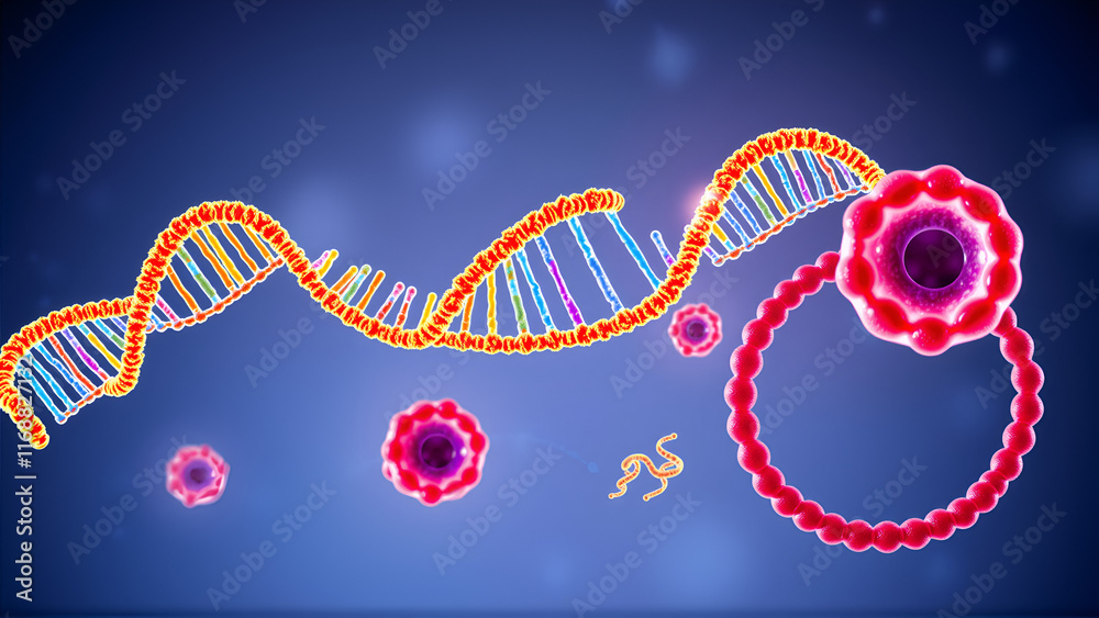 Photo Visualize the journey of mRNA and its interaction with ribosomes ...