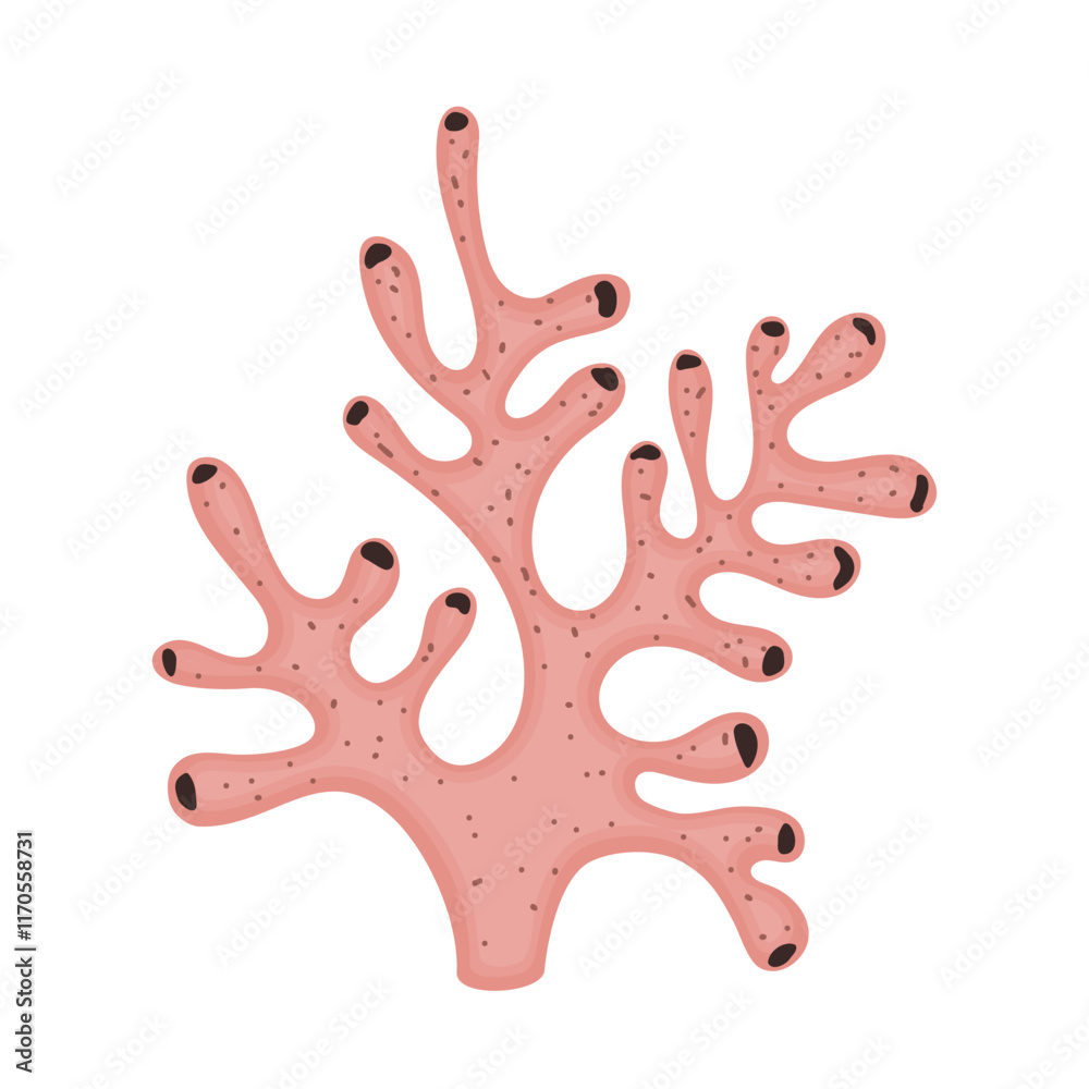 Coral reef branch. Fauna of sea underwater sponges. A marine plant with ...