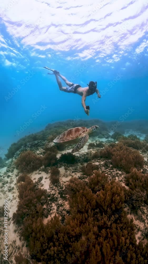 Beautiful Sea Turtle Dive in Wild Water Ocean Close-up. Green Turtles ...