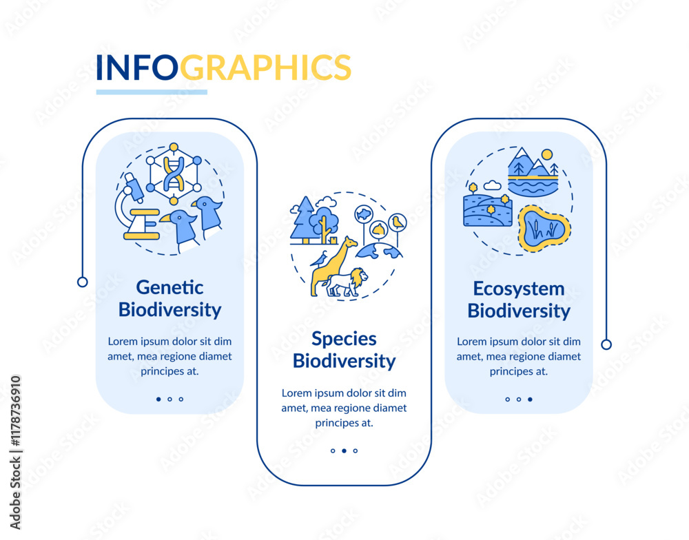 Types of biodiversity rectangle infographic vector. Various ecosystems ...