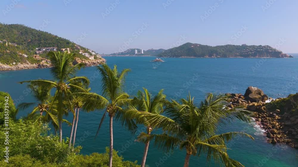 Small paradisiacal bay of rocky coast in Acapulco. 4 palm trees frame ...