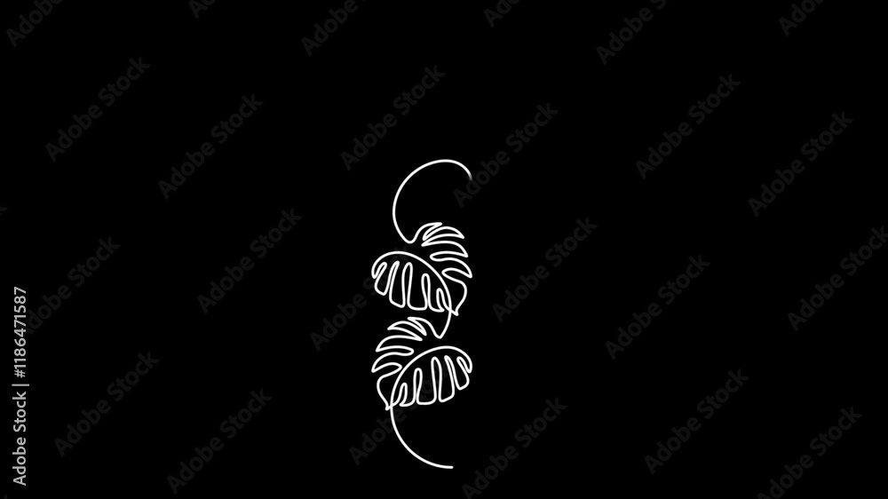 Animated One continuous line drawing of Monstera leaves. Floral leaves ...
