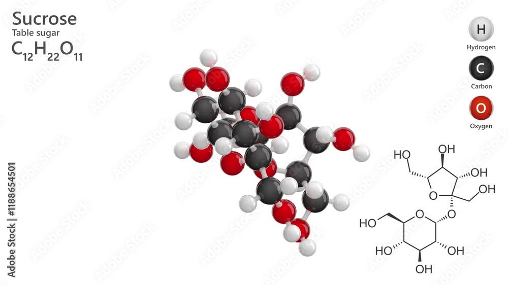 Sucrose. Disaccharide. Table sugar. Animated 3D model of a molecule ...