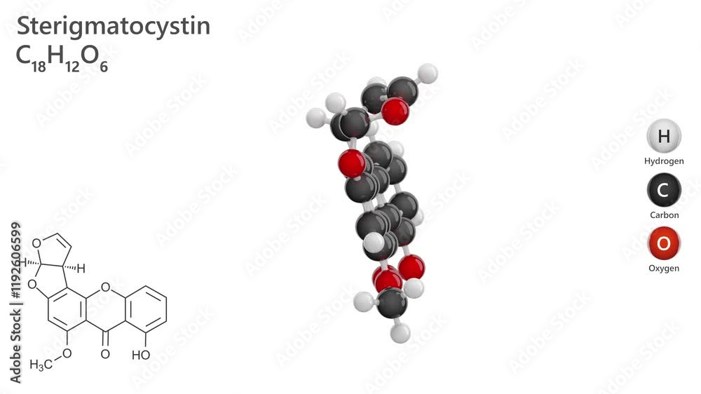 Sterigmatocystin. Polyketide mycotoxin. Animated 3D model of a molecule ...