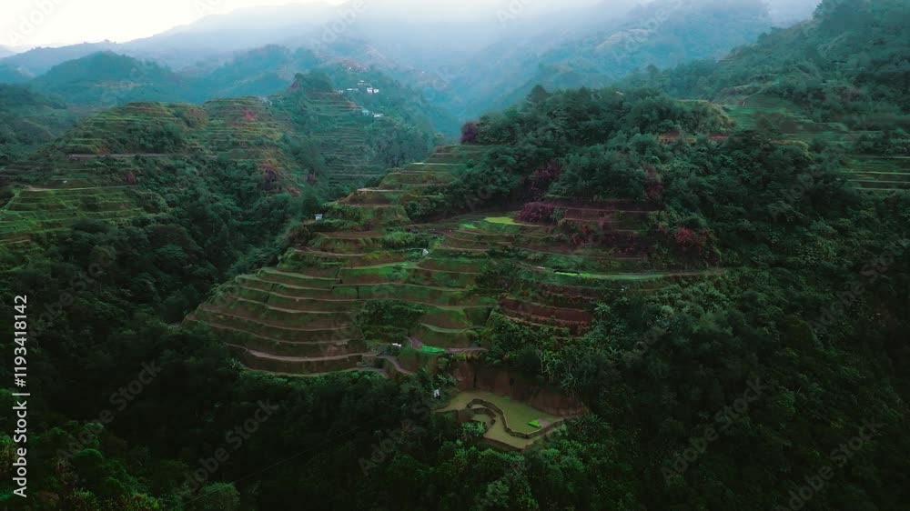 Aerial view of Banaue Rice Terraces, Ifugao, Philippines. these ancient ...