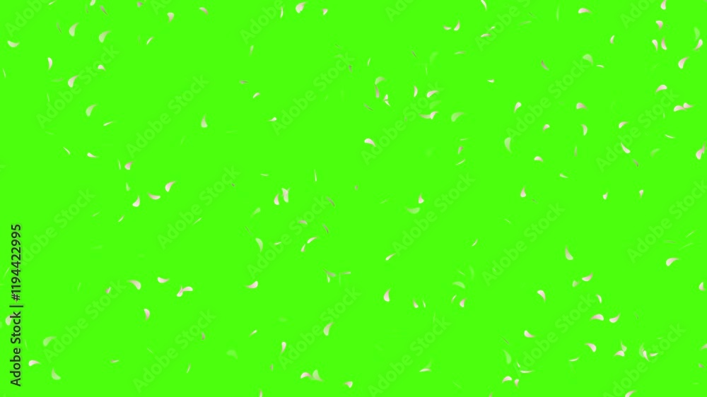 cherry blossom particle animation green screen. Spring background of ...