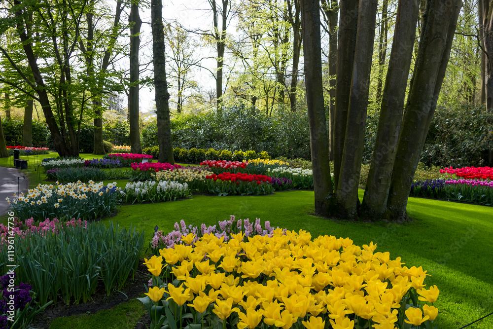 Poster Keukenhof gardens in Lisse, Netherlands with bright flower display – Wall Art | UkPosters