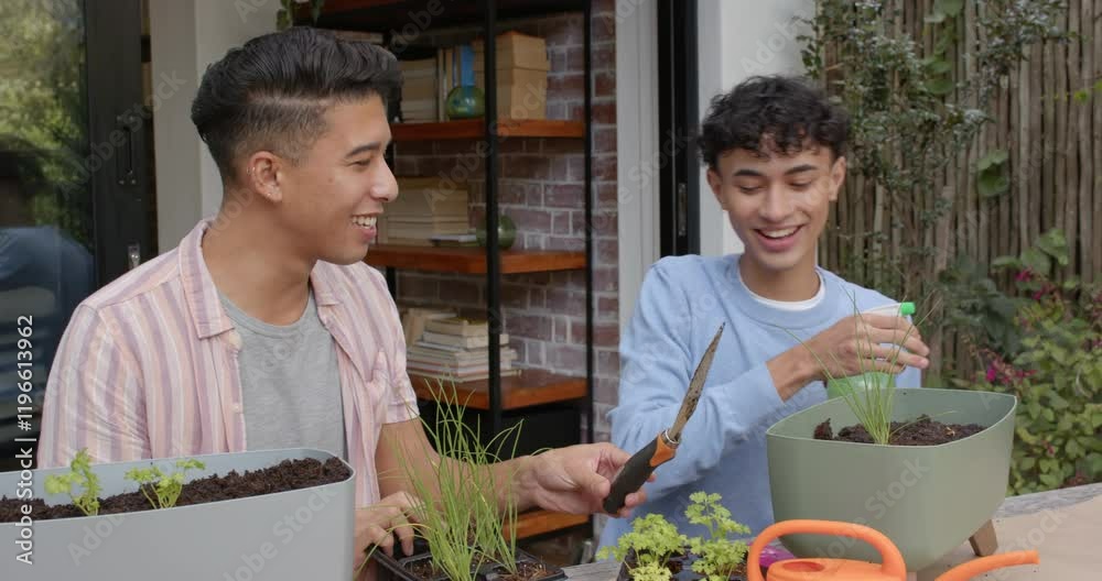 Planting herbs together, multiracial gay couple smiling and enjoying ...